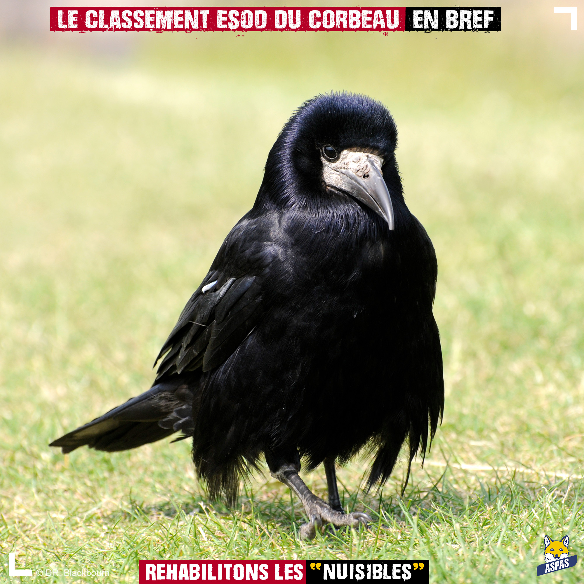 À la découverte des "nuisibles" • ASPAS