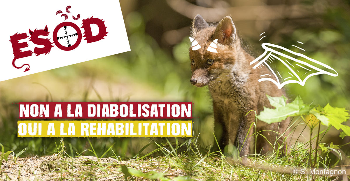 “Nuisibles” : l’ASPAS saisit le Conseil d’État ! • ASPAS